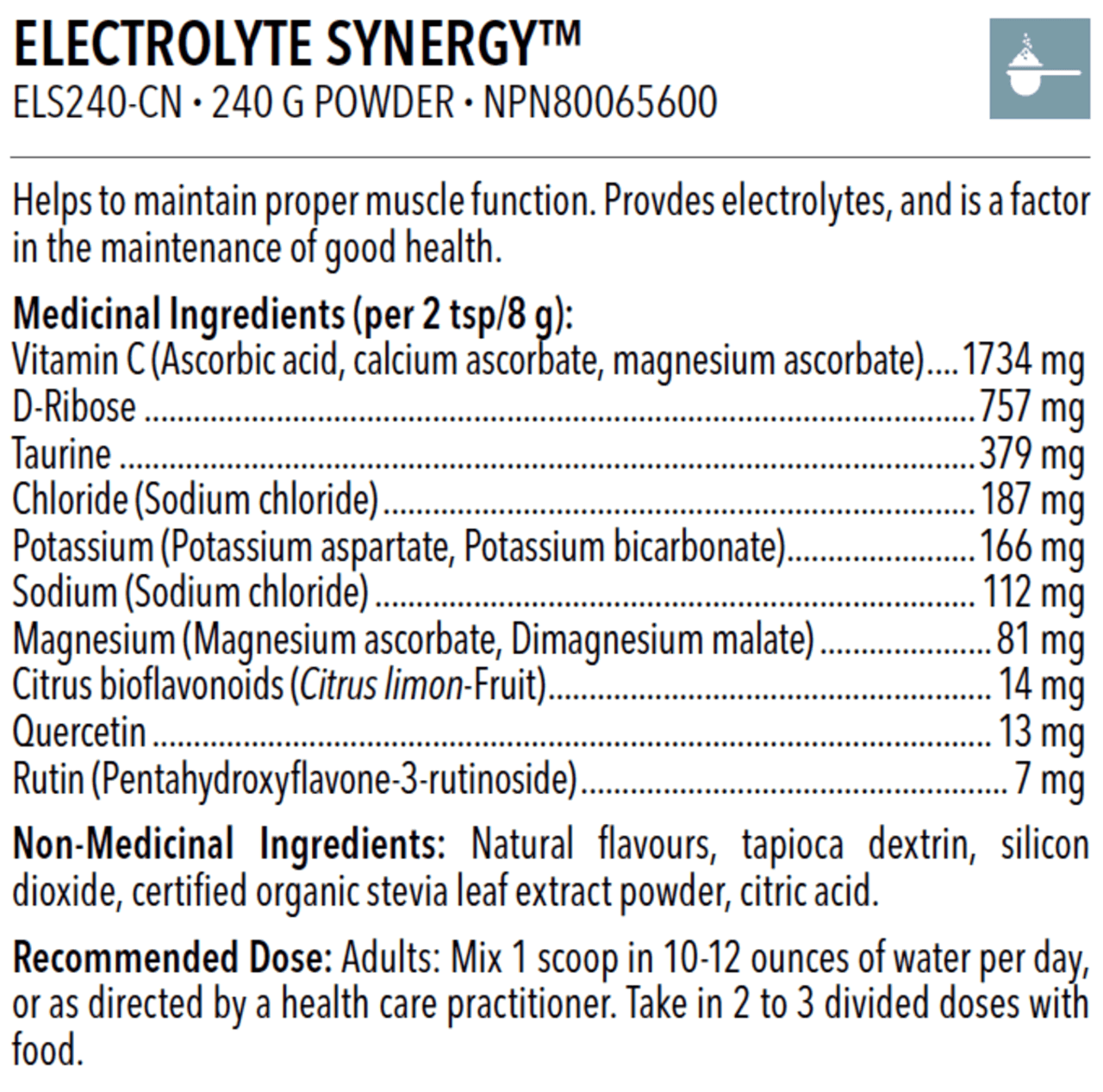 Designs for Health Electrolyte Synergy - Powder 240 Grams — Village ...